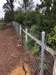 Guide To Choosing The Perfect Rural Fence | Longain Fencing