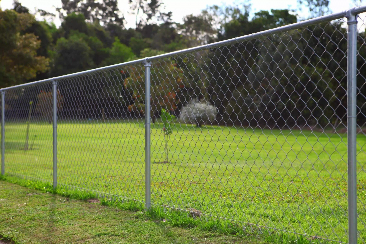 Australian Fencing Standards & Heights | Longain Fencing